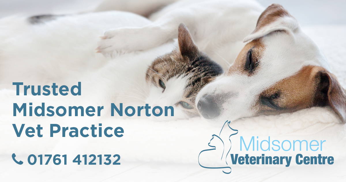 Booking a vet appointment online is so easy | Click or call 01761 412132